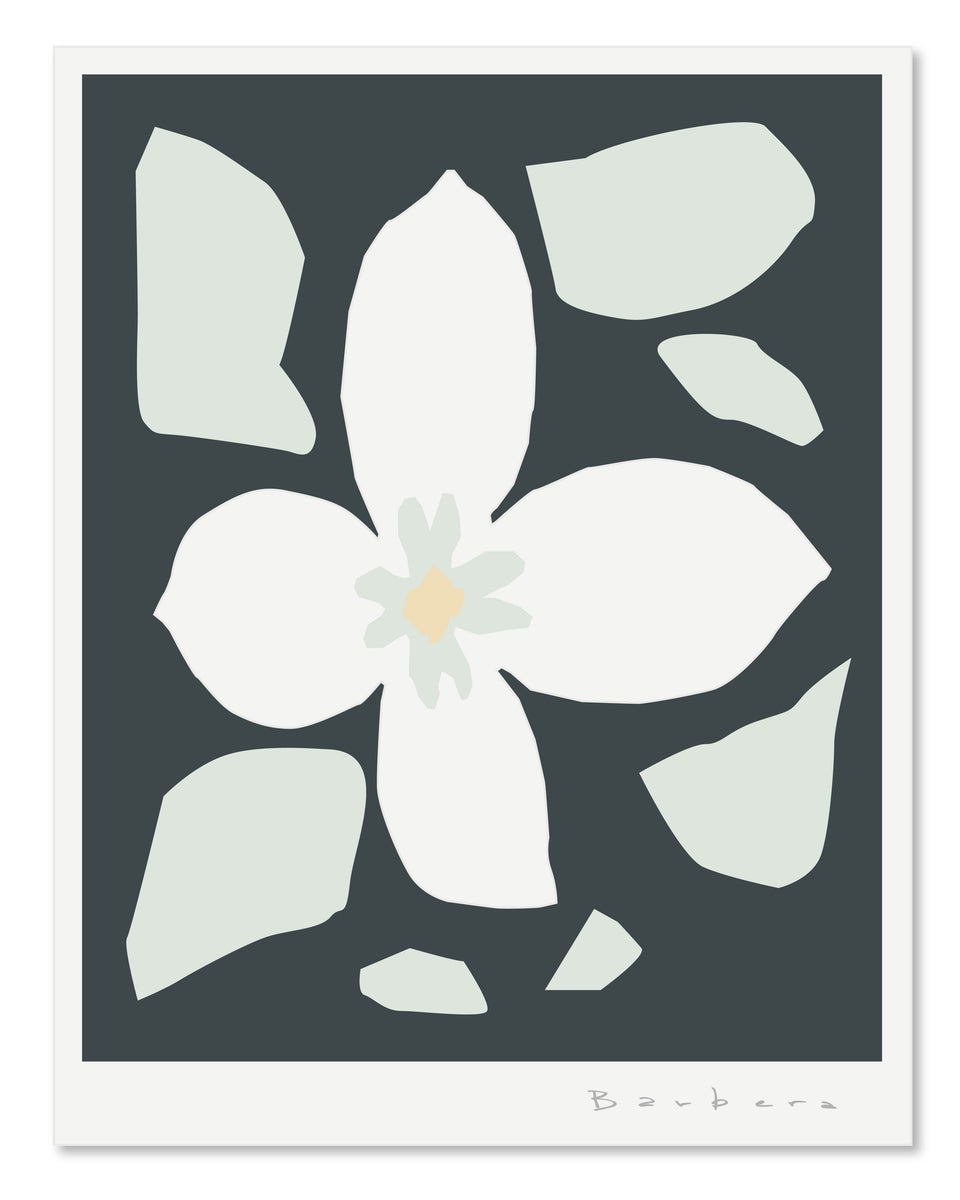 WILDFLOWERS 2 – Richard Gene Barbera
