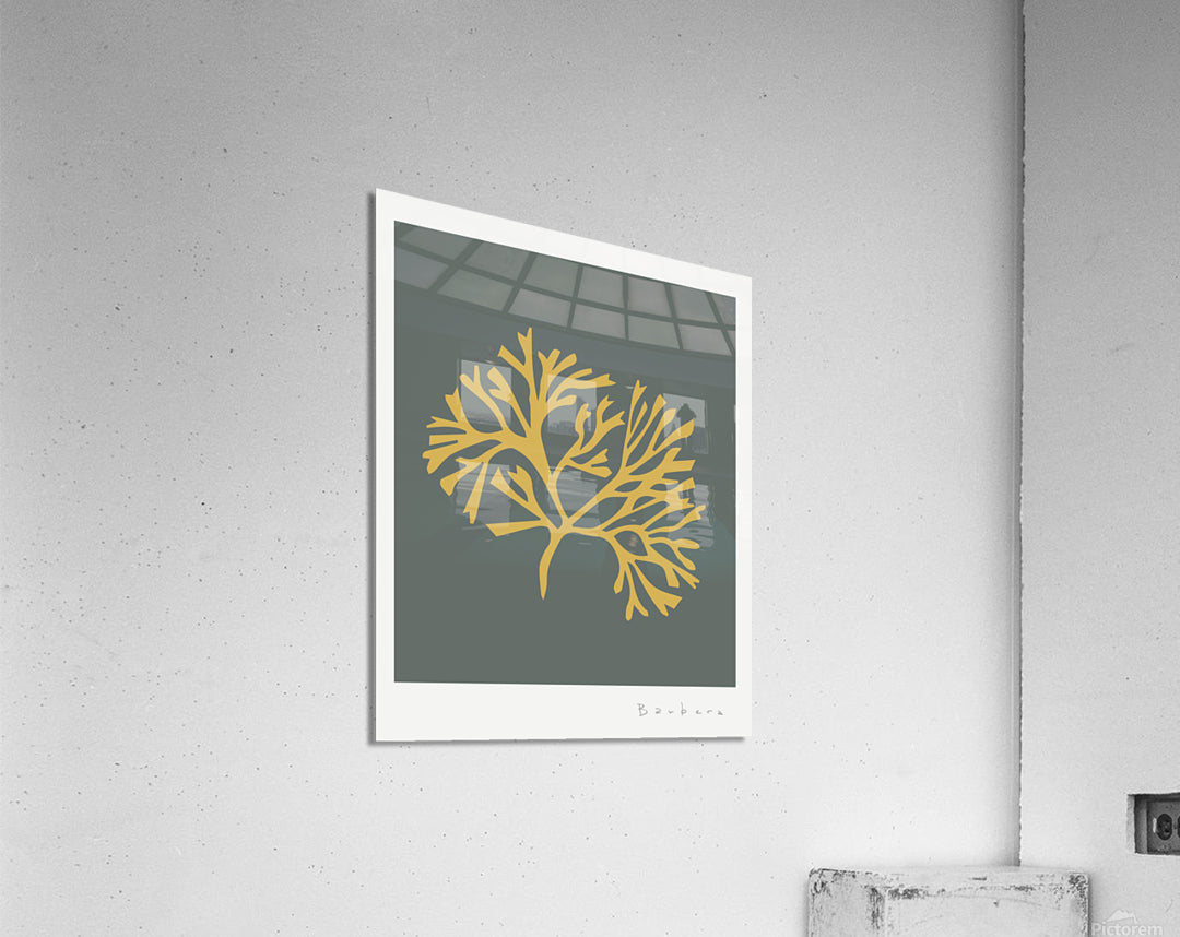 SEAGRASS 1 – Richard Gene Barbera