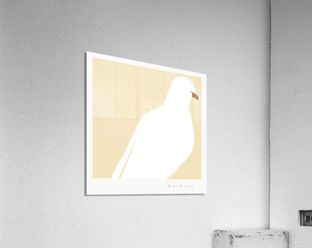 Bird 3 Dove – Richard Gene Barbera