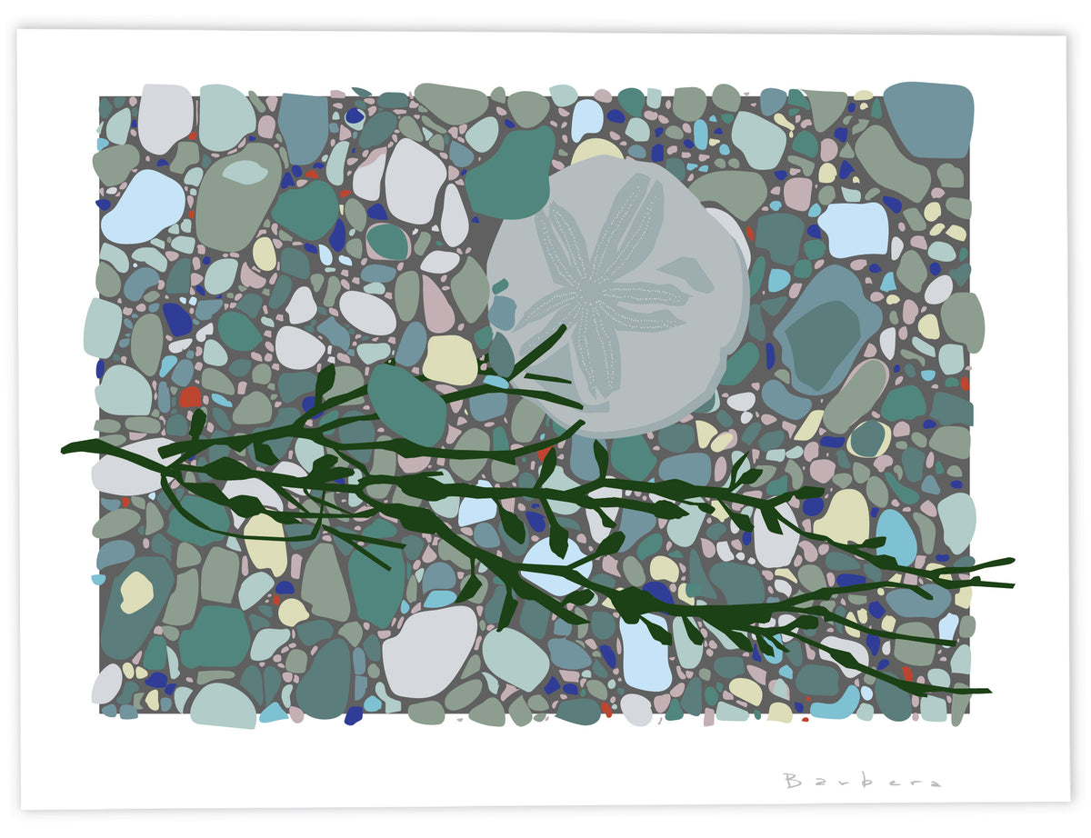 PEBBLES MIXED SAND DOLLAR – Richard Gene Barbera